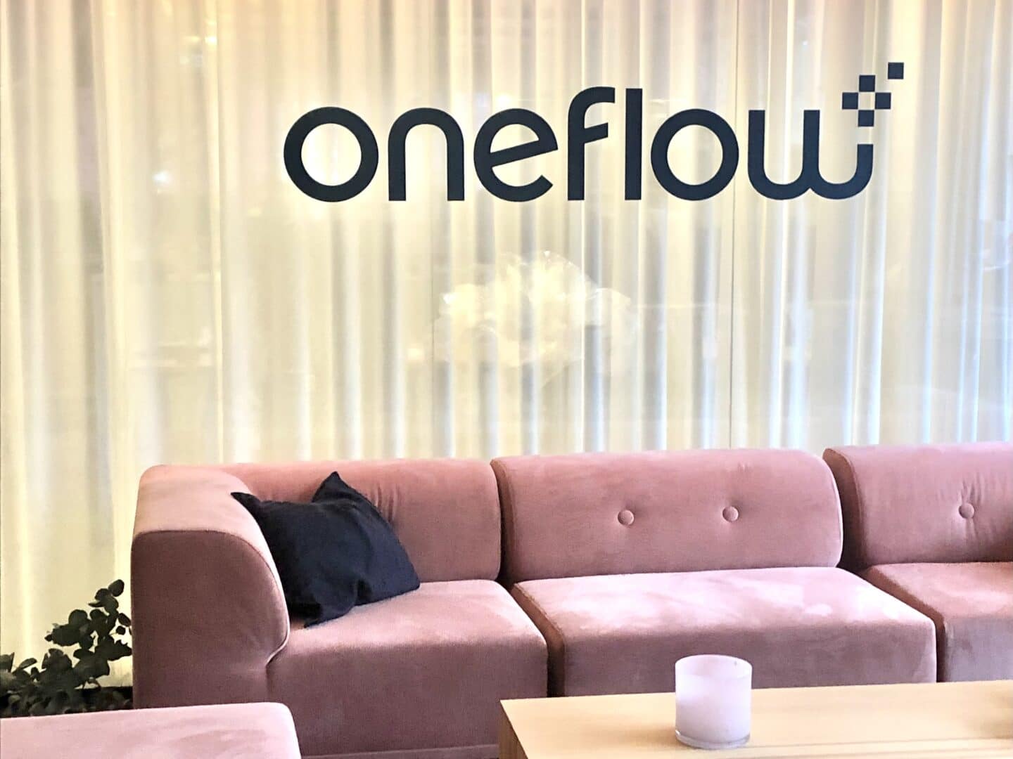 Board of Directors - Oneflow